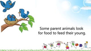 Animals and their young | PPTX