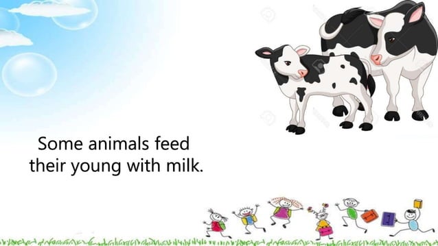 Animals and their young | PPTX