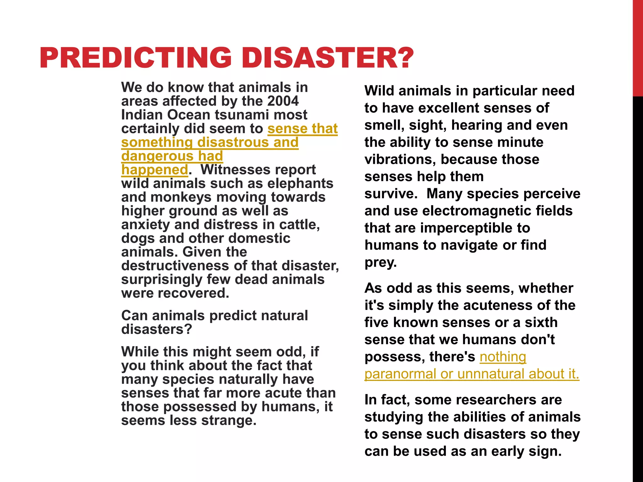 Animals and tsunami | PPTX