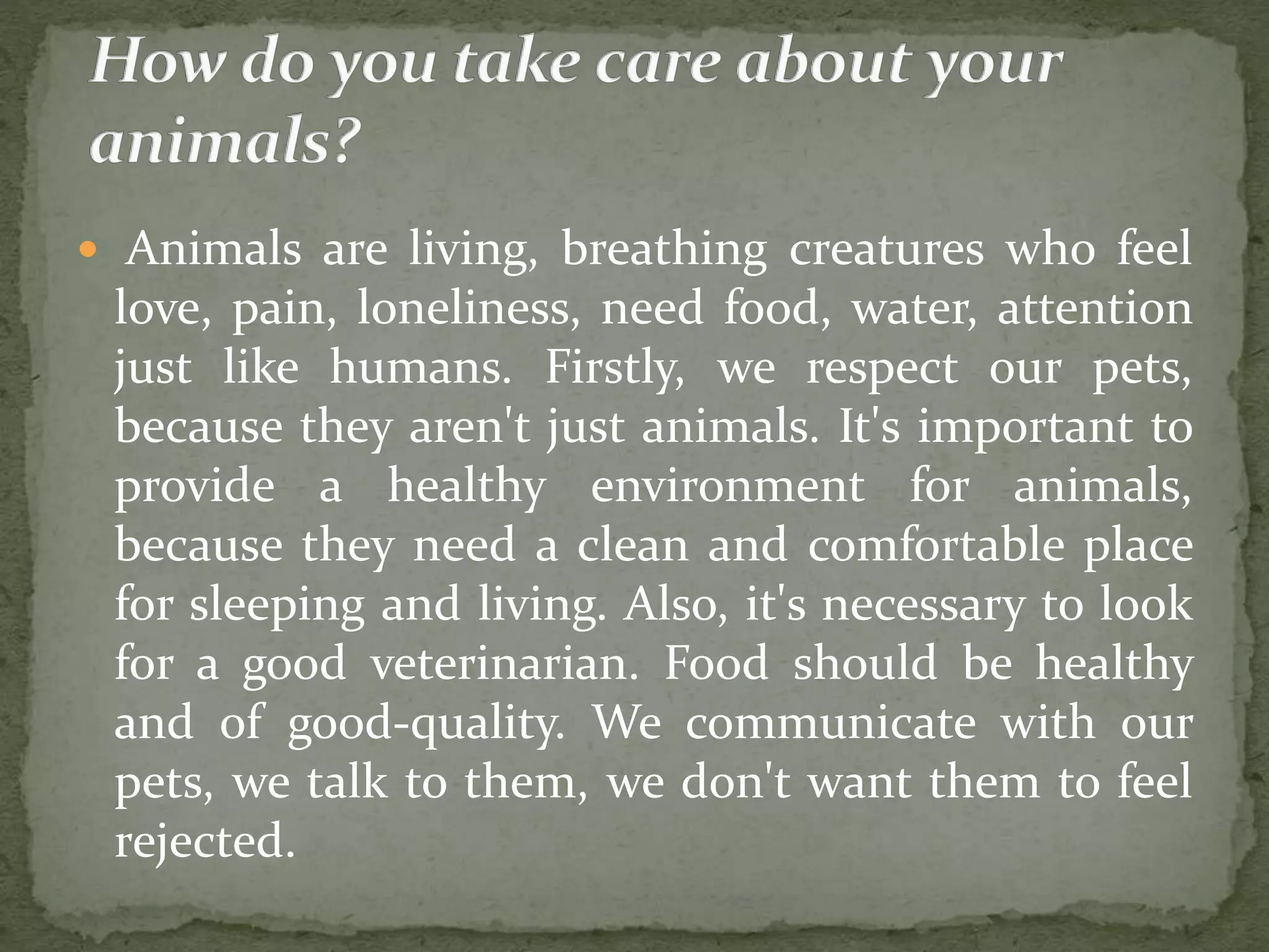 Animals are our friends | PPTX | Dogs | Pets