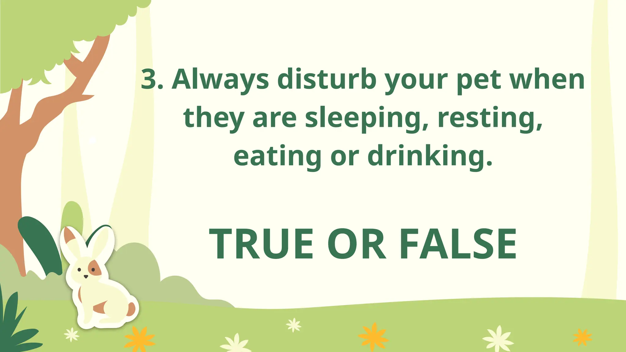 SCIENCE GRADE 2 LESSON:ANIMALS AROUND US.pptx