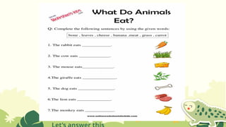 SCIENCE GRADE 2 LESSON:ANIMALS AROUND US.pptx
