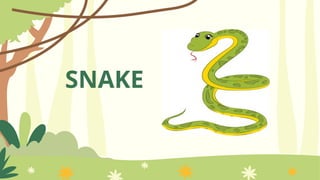 SCIENCE GRADE 2 LESSON:ANIMALS AROUND US.pptx