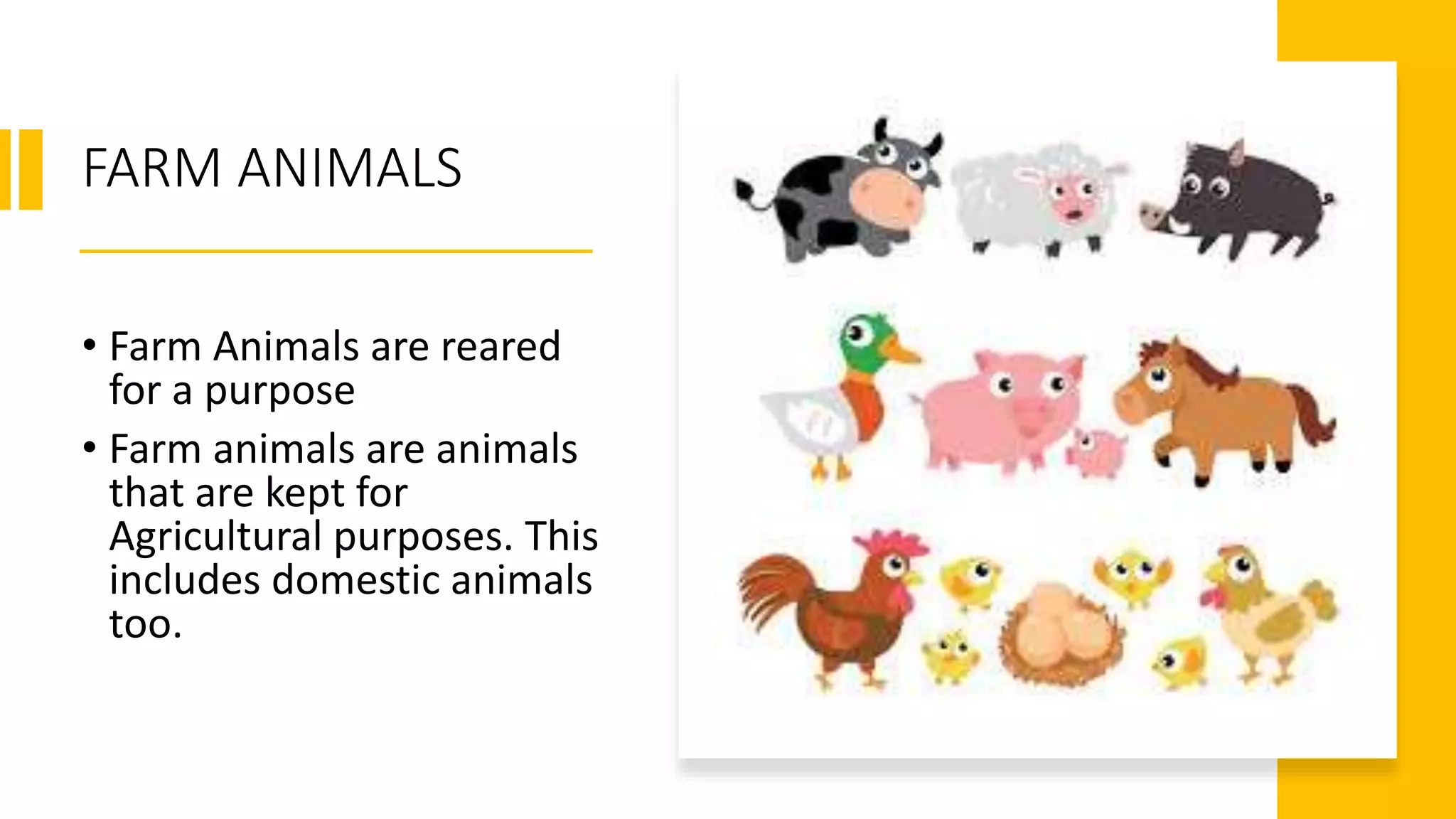 Animals around us full | PPTX