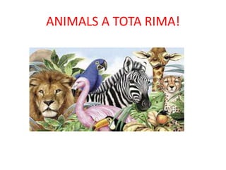 Animals a tota rima! | PPT