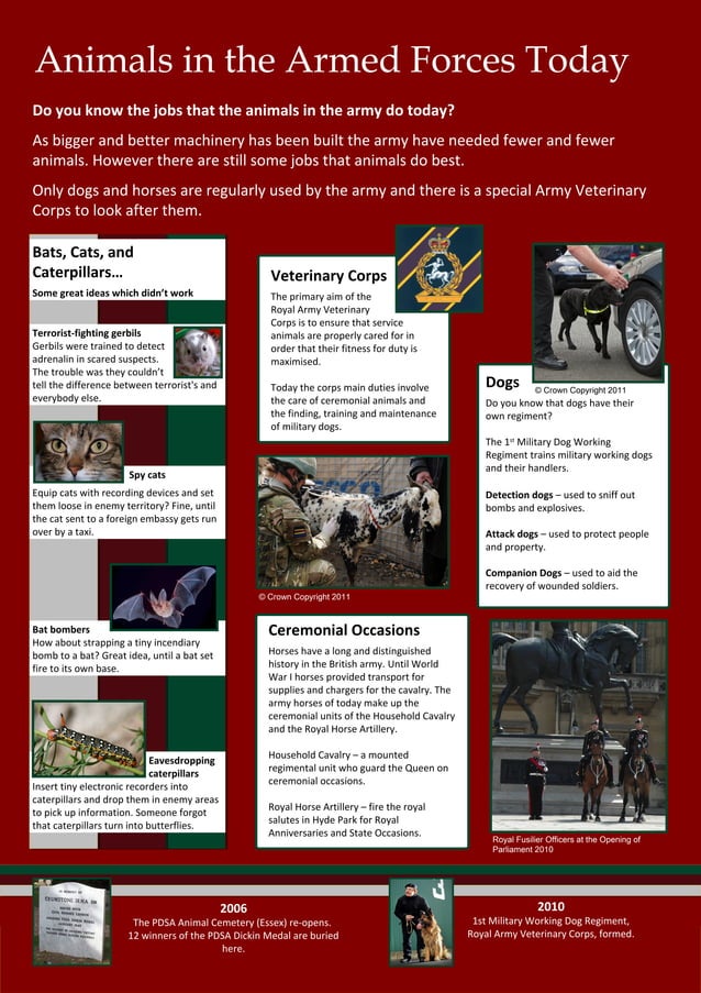 Animals in the Armed Forces | PDF