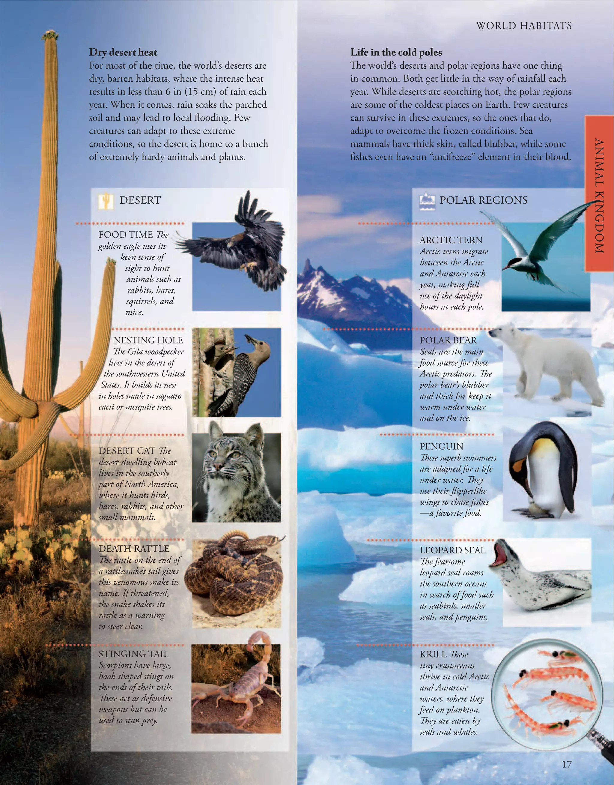 Animals, a visual encyclopedia (2nd Edition).pdf