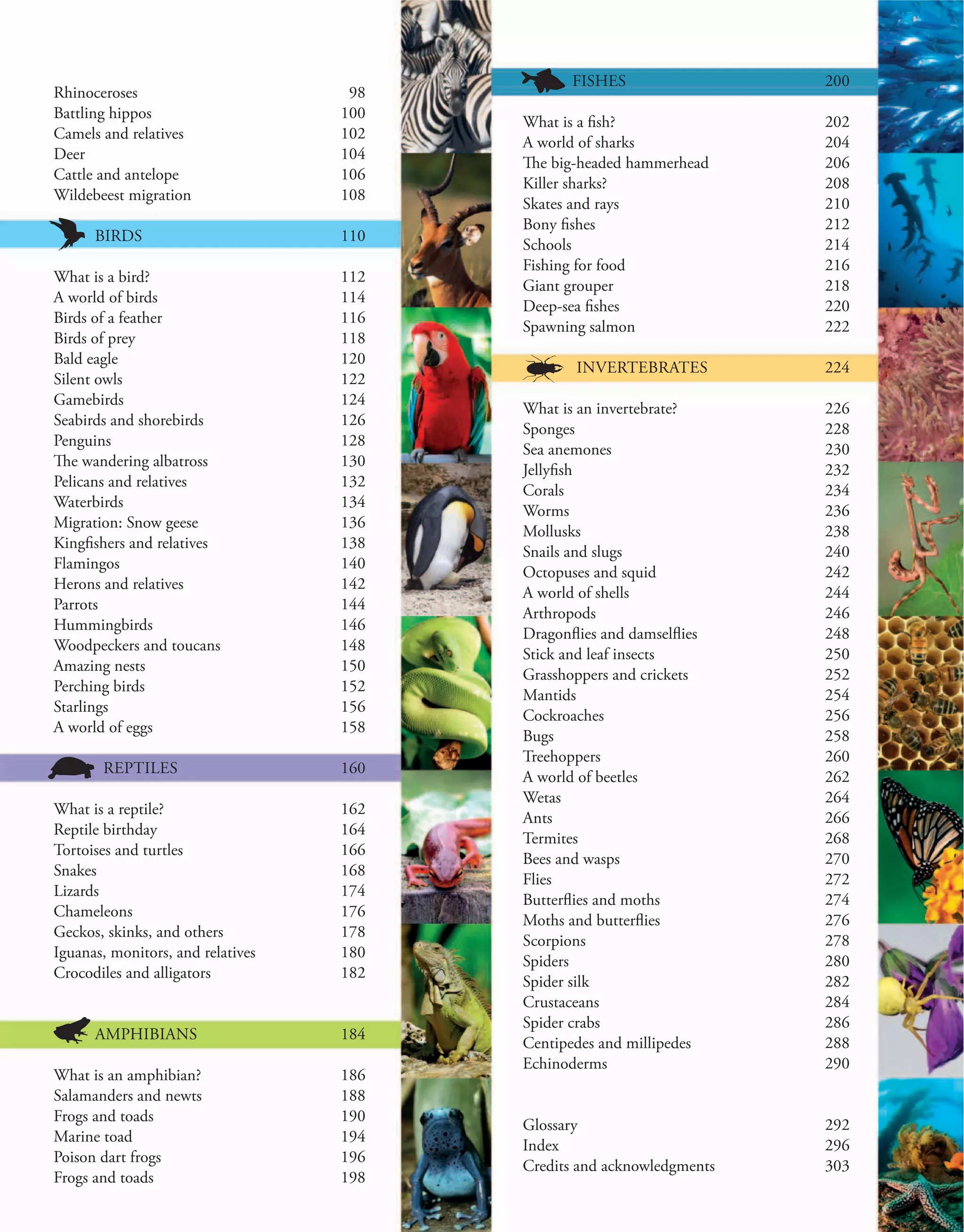 Animals, a visual encyclopedia (2nd Edition).pdf