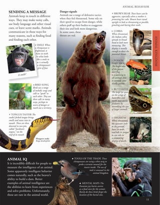 Animals, a visual encyclopedia (2nd Edition).pdf