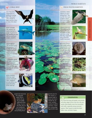 Animals, a visual encyclopedia (2nd Edition).pdf