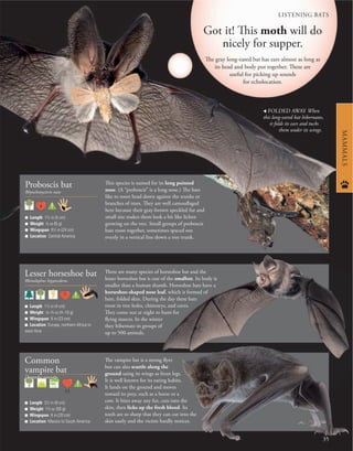 Animals, a visual encyclopedia (2nd Edition).pdf