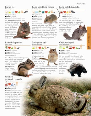 Animals, a visual encyclopedia (2nd Edition).pdf