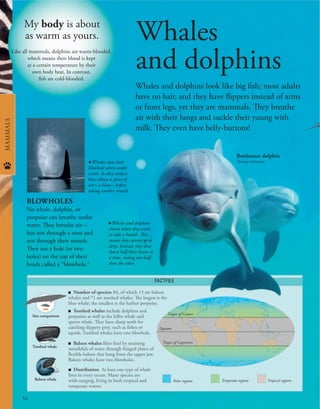 Animals, a visual encyclopedia (2nd Edition).pdf