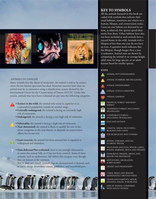 Animals, a visual encyclopedia (2nd Edition).pdf