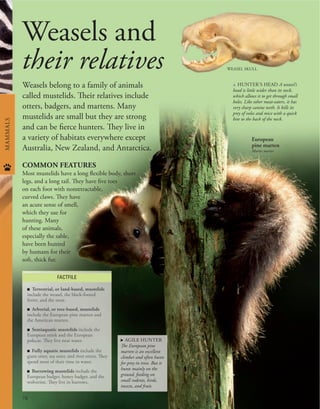 Animals, a visual encyclopedia (2nd Edition).pdf