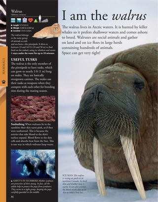 Animals, a visual encyclopedia (2nd Edition).pdf