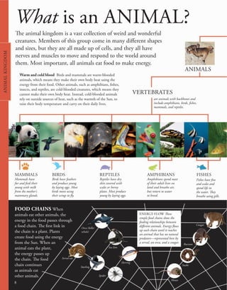 Animals, a visual encyclopedia (2nd Edition).pdf