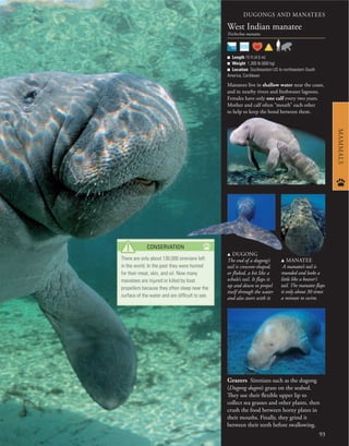 Animals, a visual encyclopedia (2nd Edition).pdf