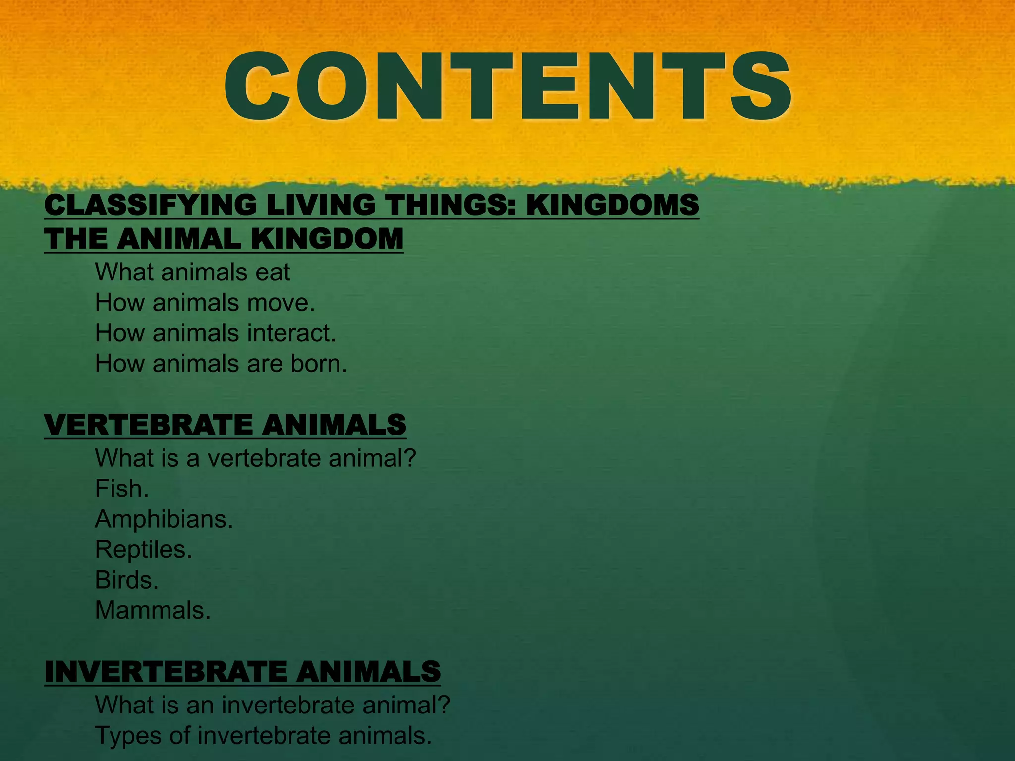 Animal Kingdom | PPT