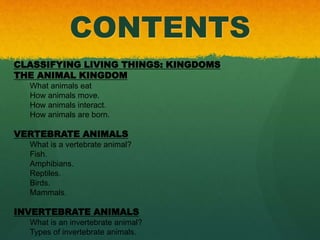 Animal Kingdom | PPT