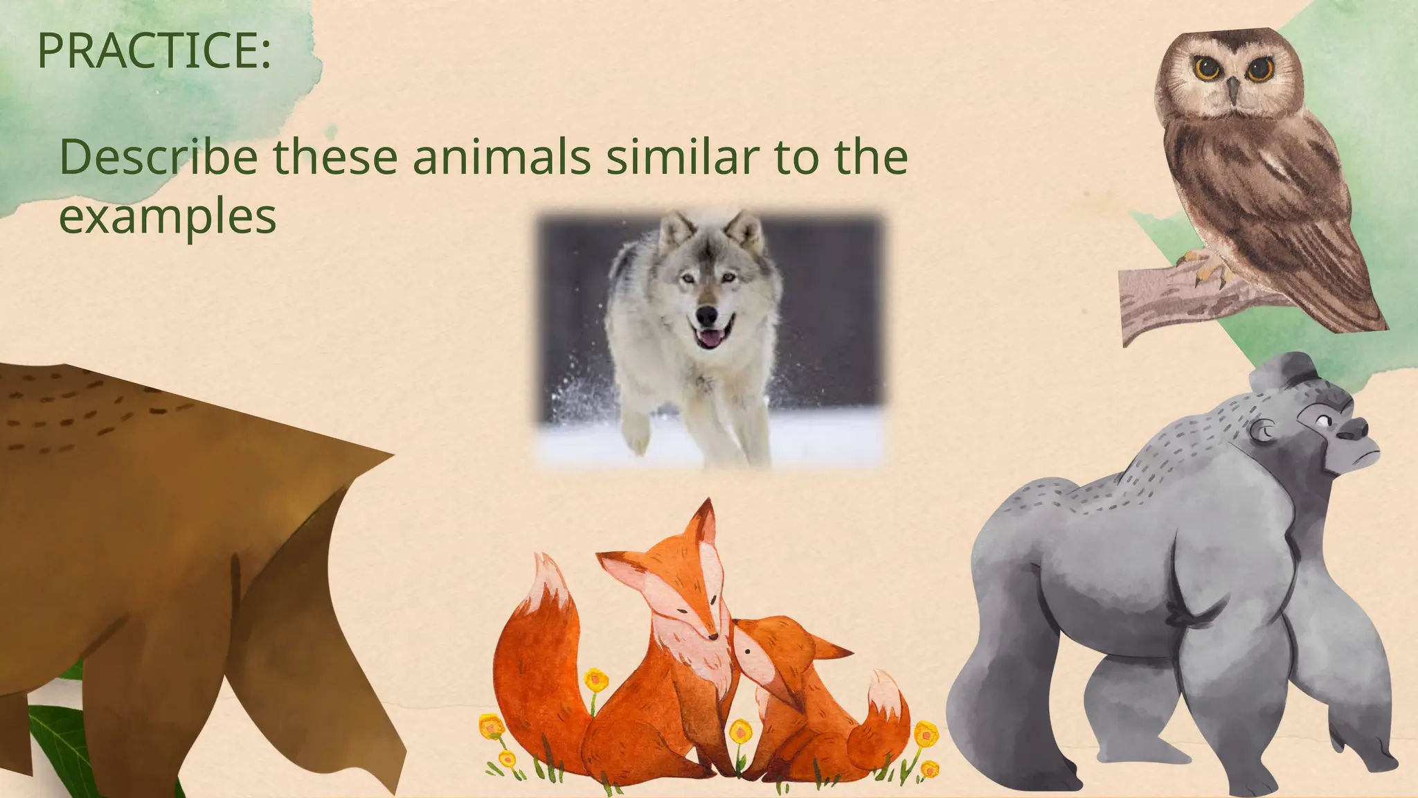 Animals Body Parts- 3RO - animals for class | PPTX