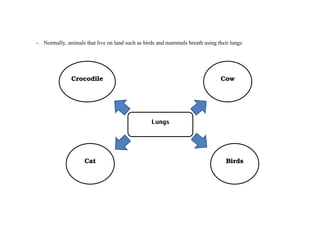 Animals breathing organs and examples animals | PDF