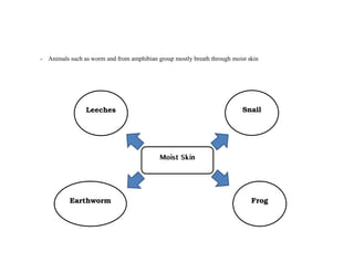 Animals breathing organs and examples animals | PDF