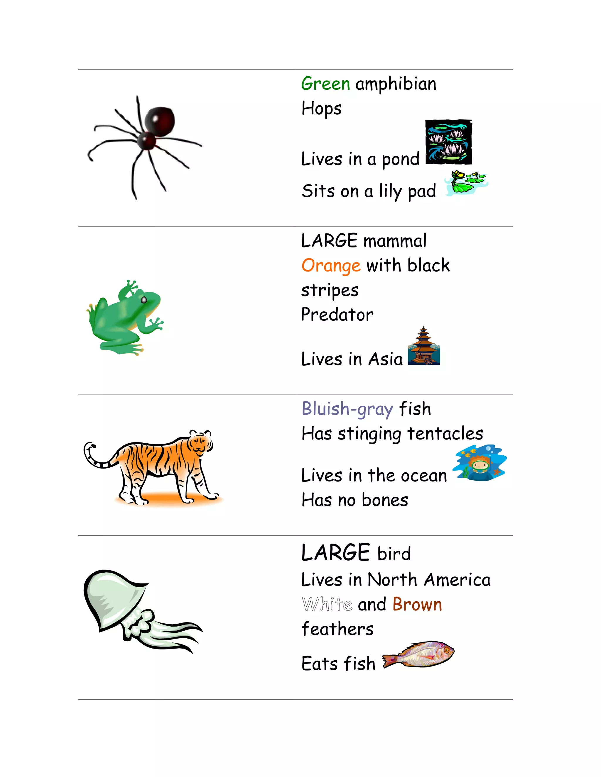 Animal Scavenger Hunt | DOC