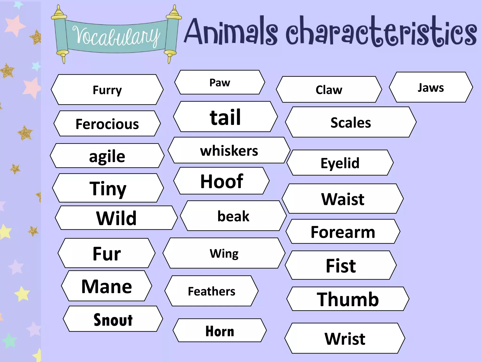 Animals characteristics | PDF