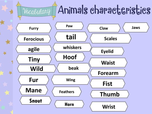Animals characteristics | PDF | Birds | Pets