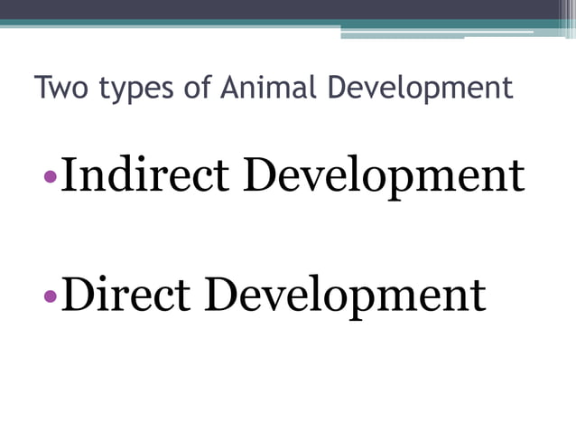 animals_chem_and_nervous_system.ppt