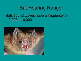 Animal Science | PPT