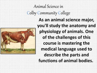 Animal Science | PPT