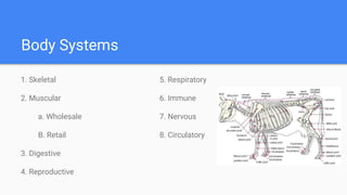 Comprehensive Overview of Animal Body Systems and Their Functions | PDF