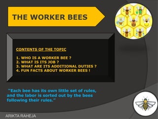 Animal science ;Castes in Honey Bee | PPTX