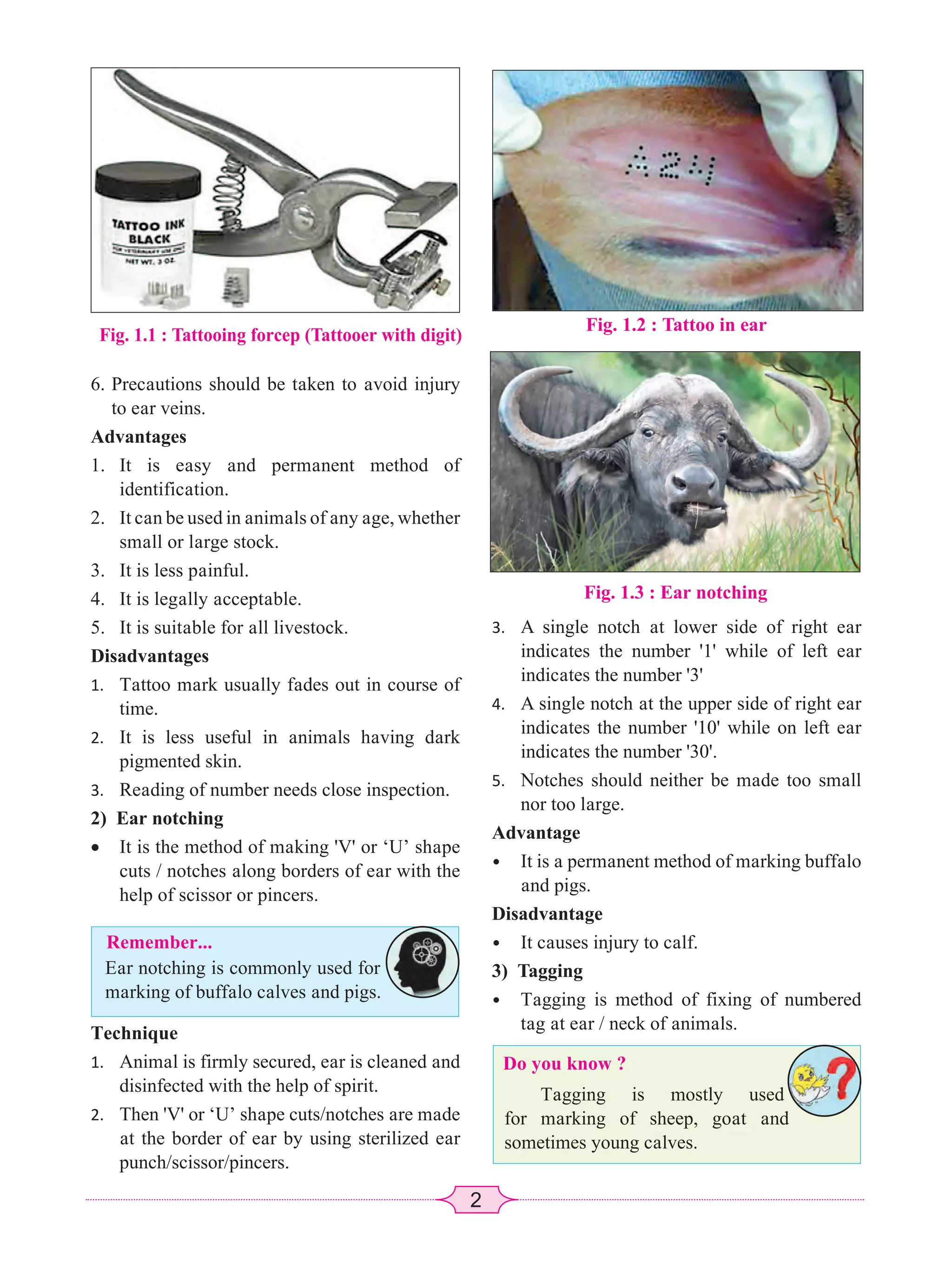 Animal science & technology | PDF