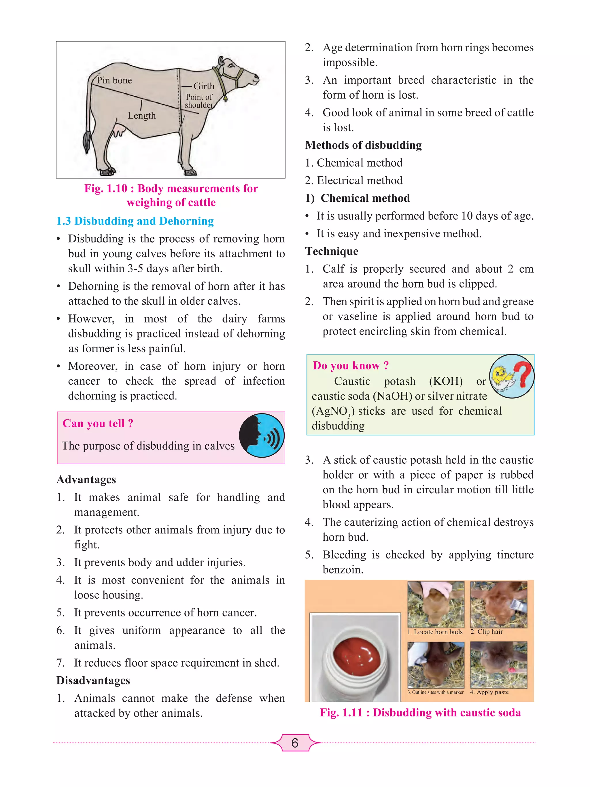 Animal science & technology | PDF