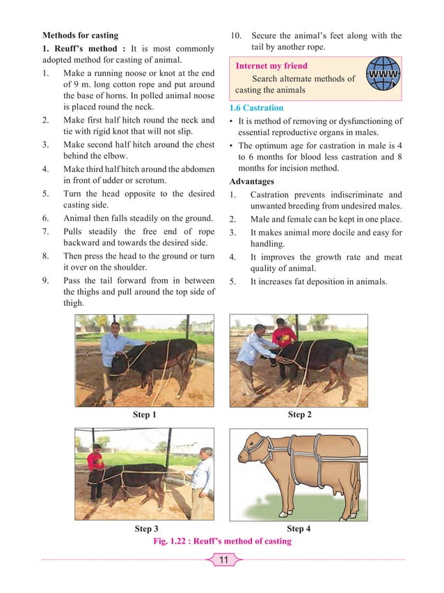 Animal science & technology | PDF