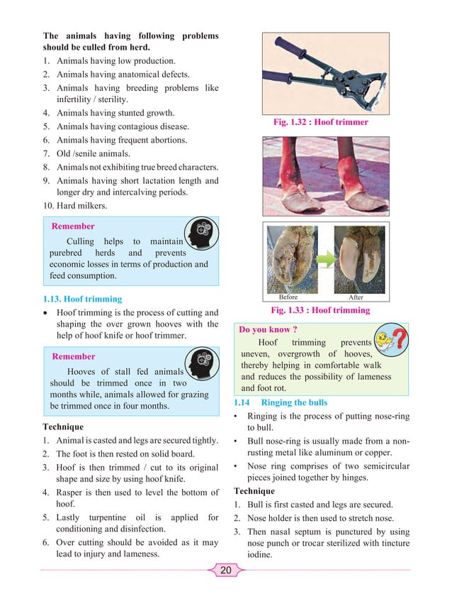 Animal science & technology | PDF