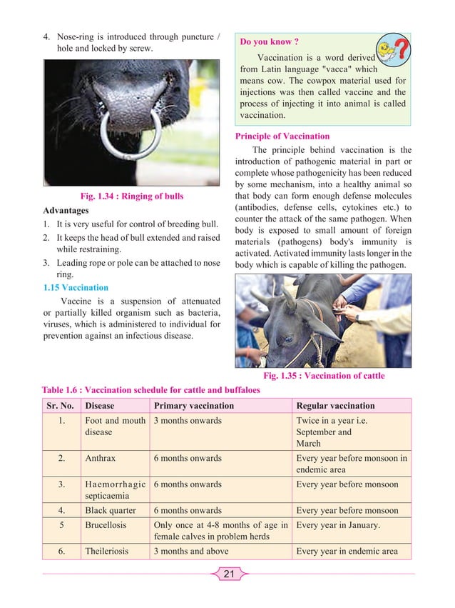 Animal science & technology | PDF