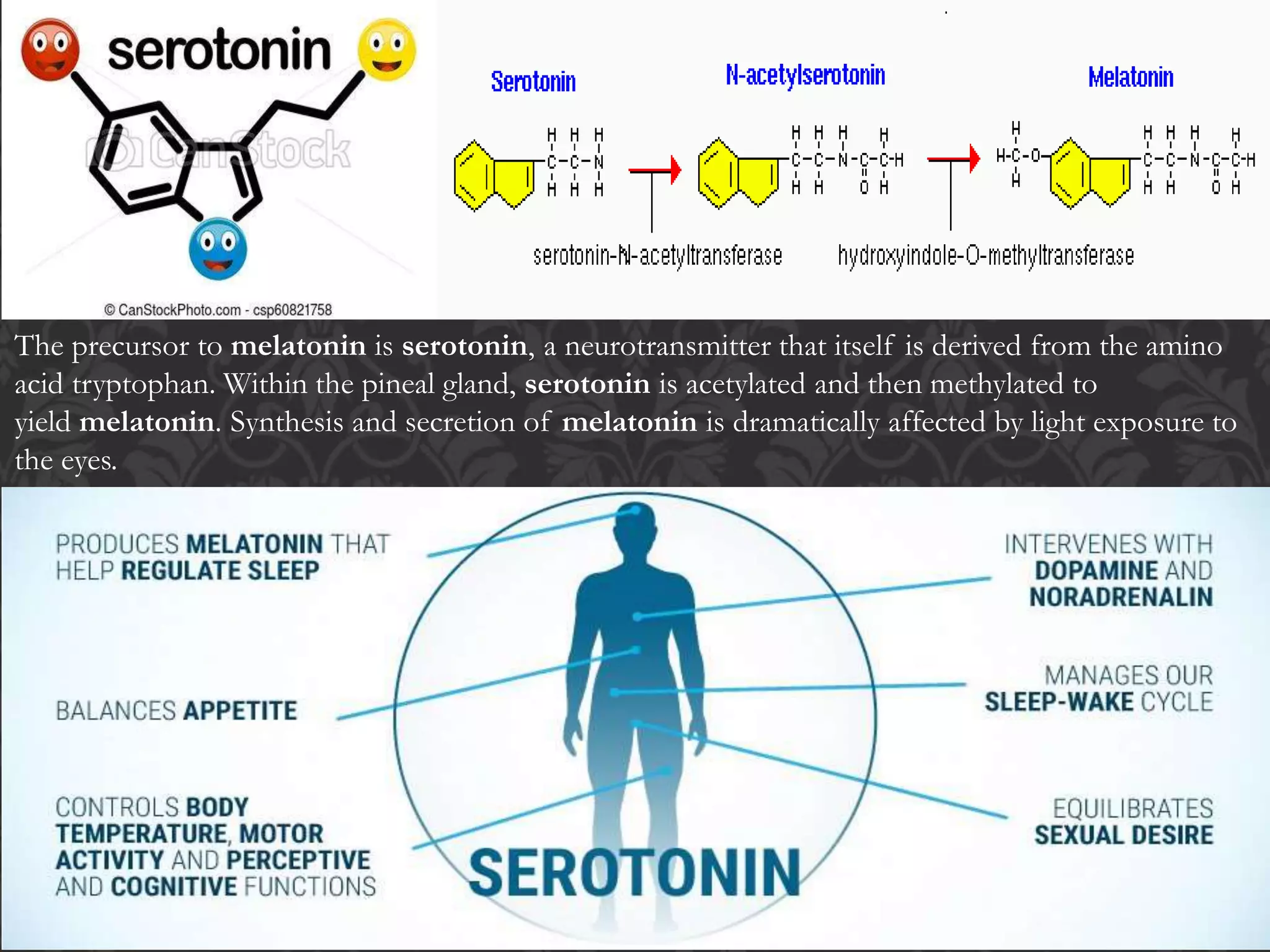 Animal Science Ppt || Animal Hormones || Human Hormones -- from ...