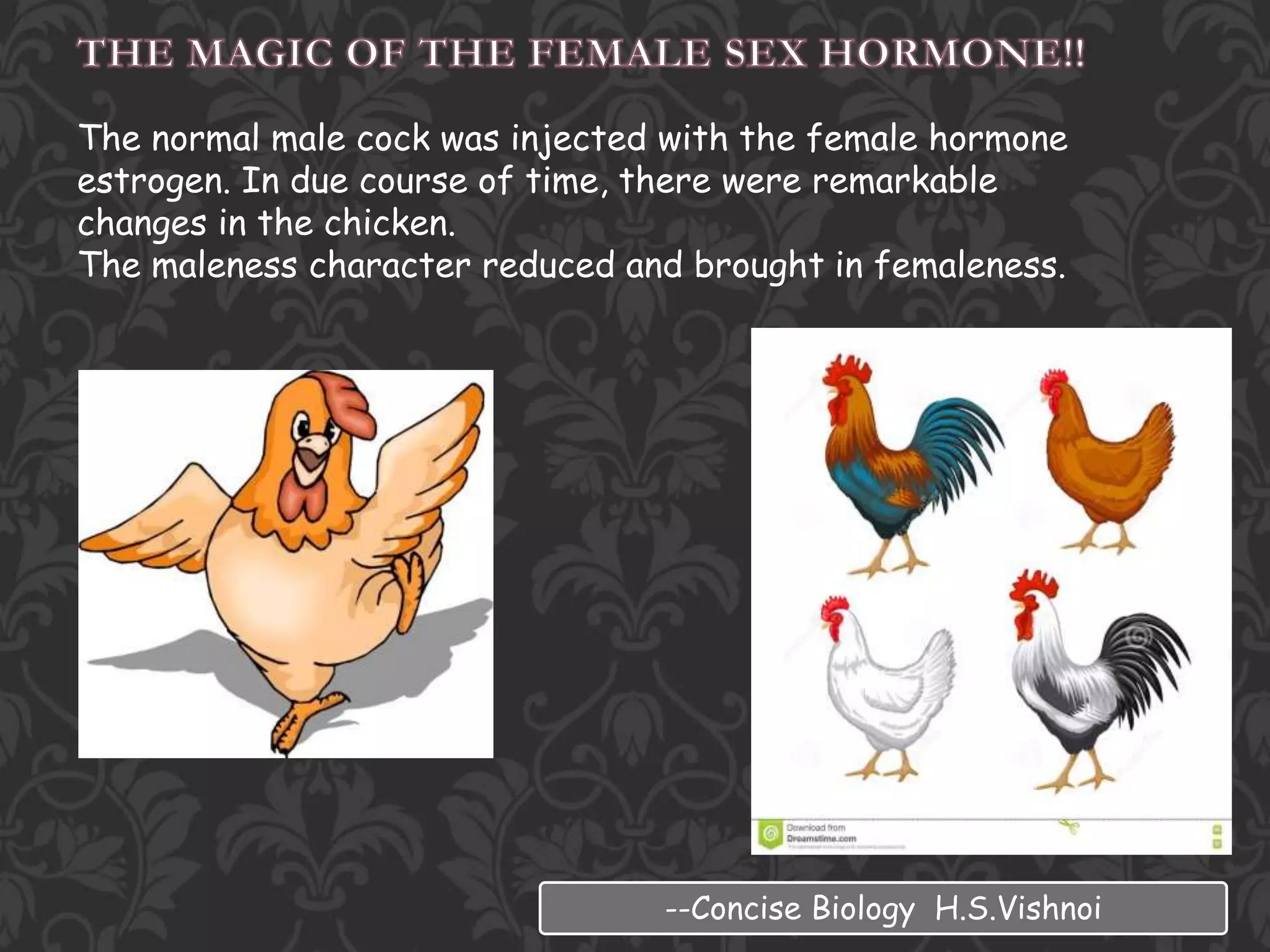 Animal Science Ppt || Animal Hormones || Human Hormones -- from ...