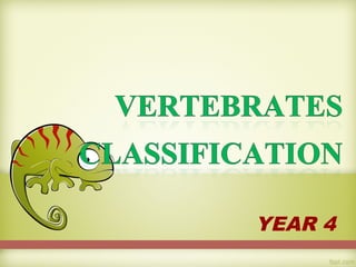 Animals classif2 | PPT