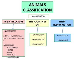 Animals classification | PPTX