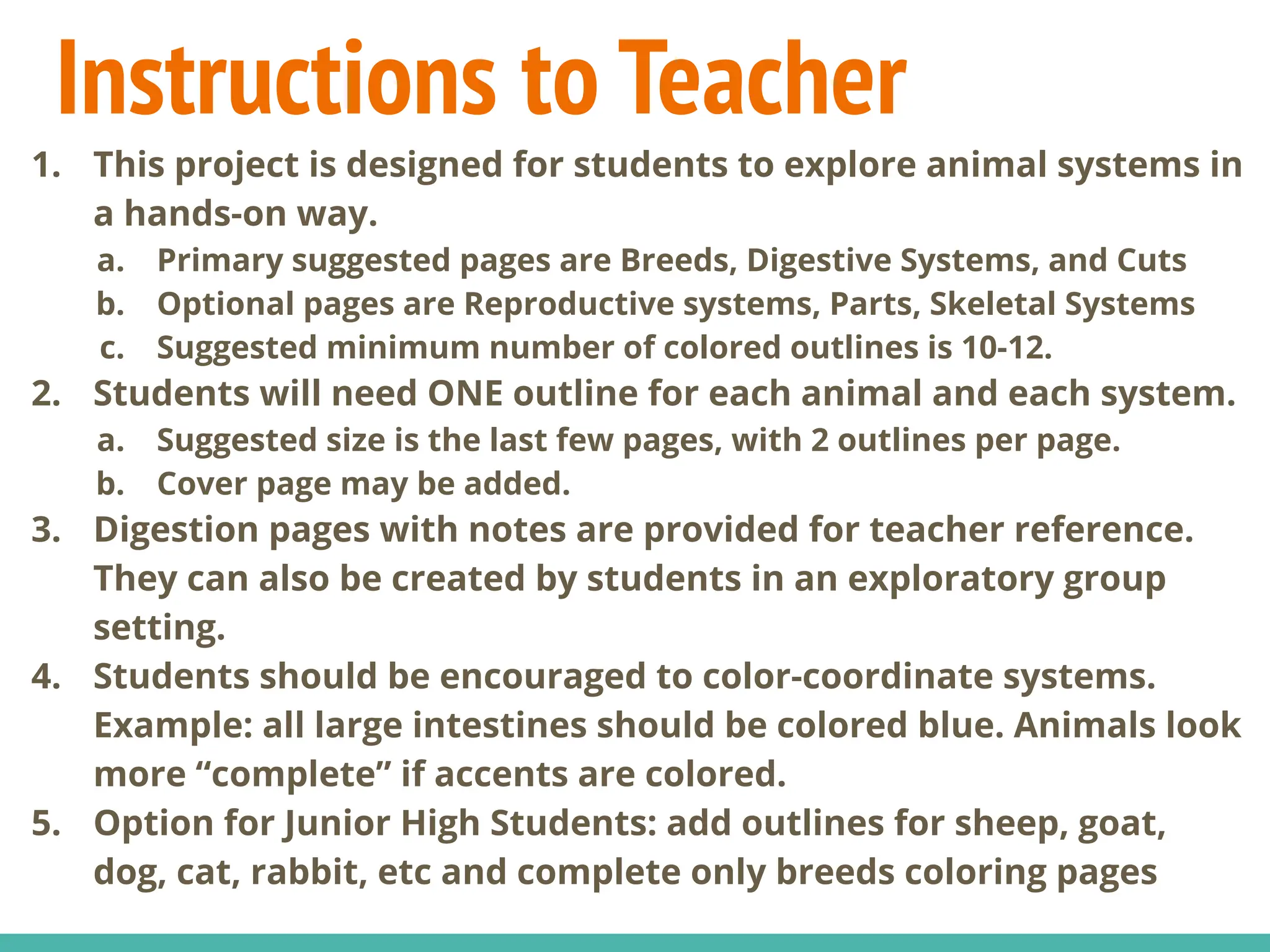 Animals Coloring Book follow along guide slide show | PDF