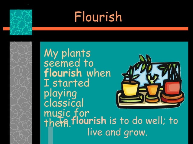 Animals come home vocabulary | PPT | Free Download