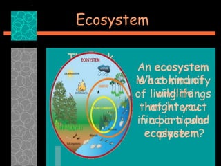 Animals come home vocabulary | PPSX