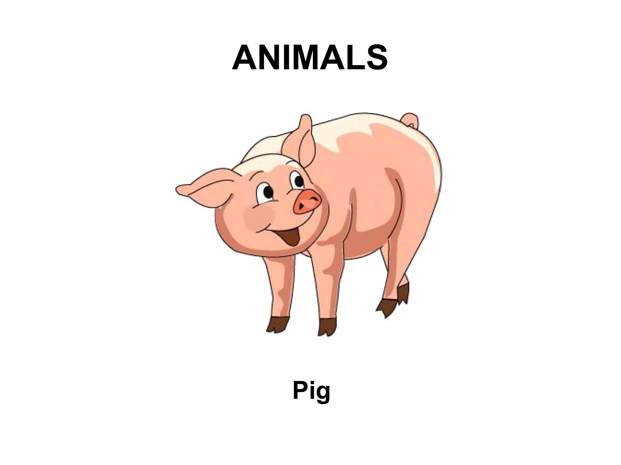 Animals curso cep | ODP