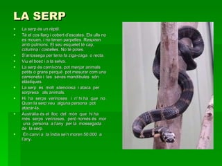 Animals de charcay | PPT