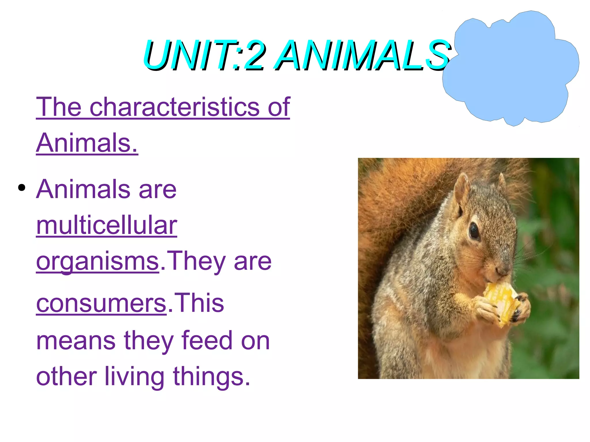 Animals 5th Grade | PPT